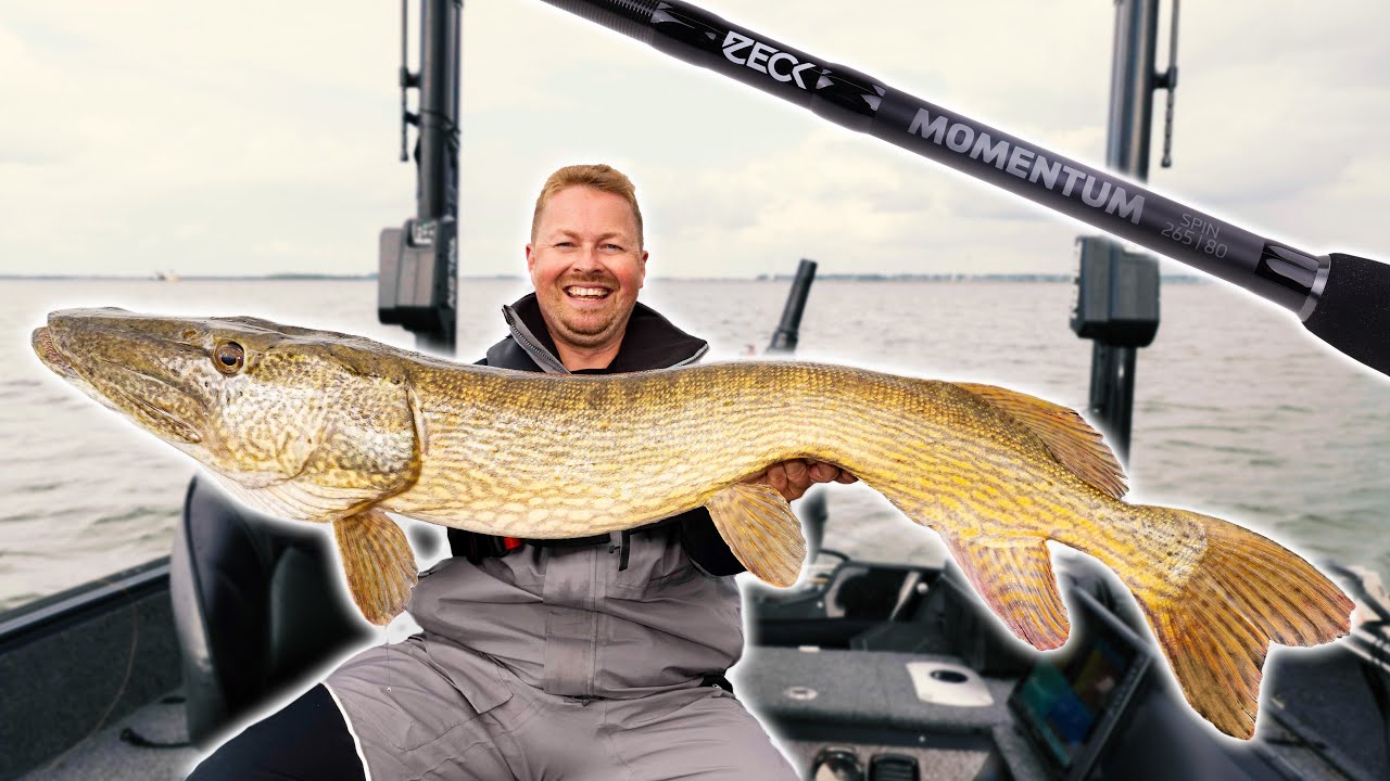 KNALLER-RUTEN: MOMENTUM, Mr. Waller Rod, neue Hänel-Rute uvm. - YouTube