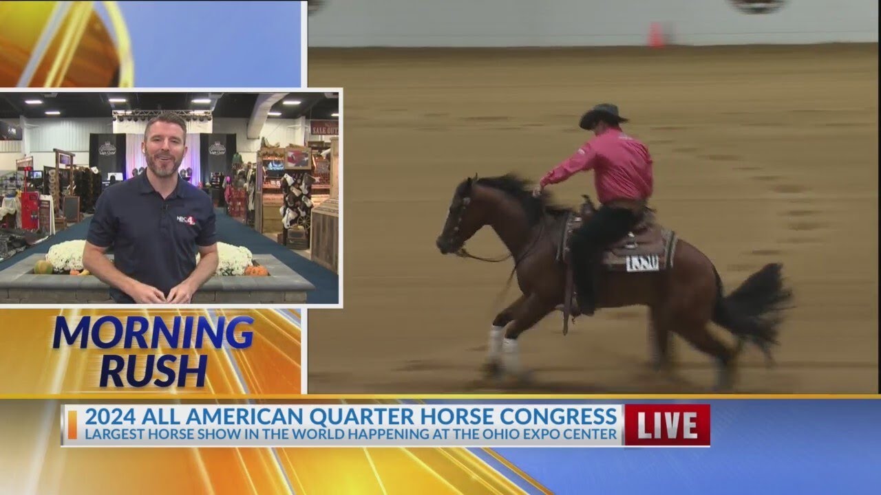 All American Quarter Horse Congress at Ohio Expo Center - YouTube