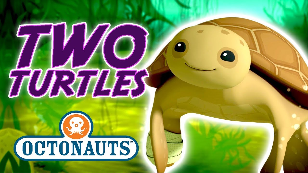 Octonauts creature report baby sea turtle - burgerwolf
