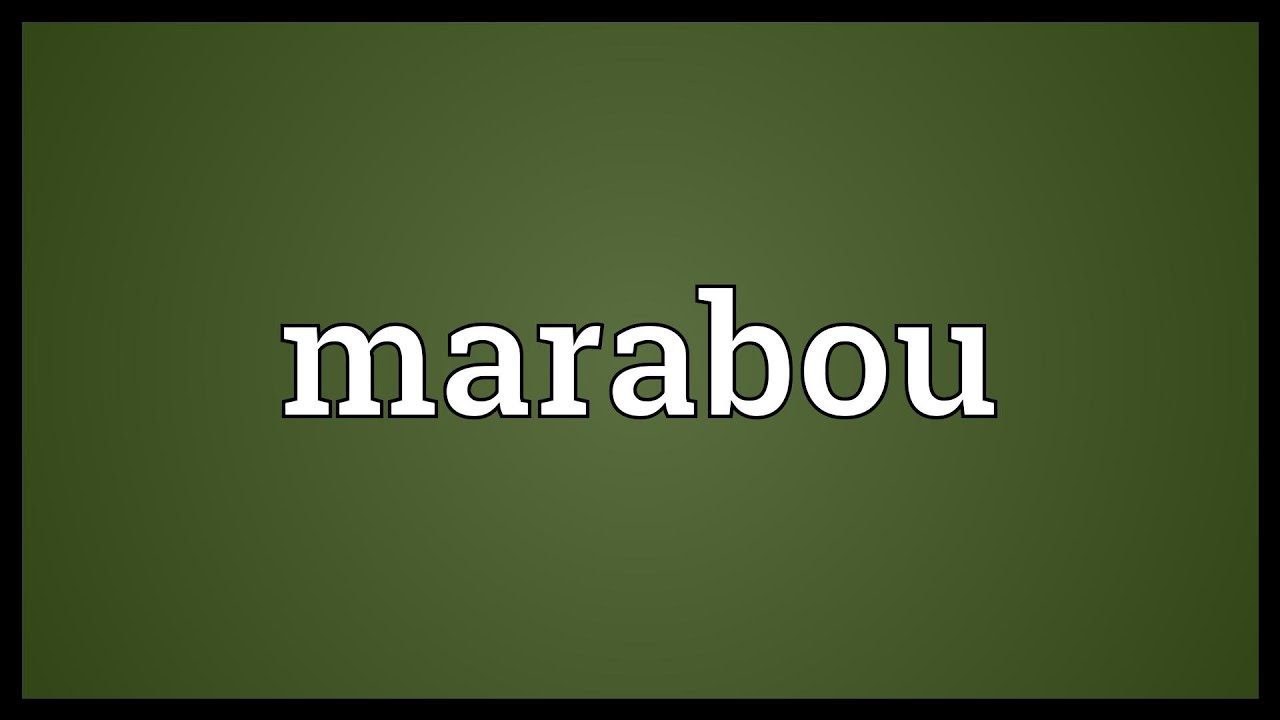 Marabou Meaning - YouTube