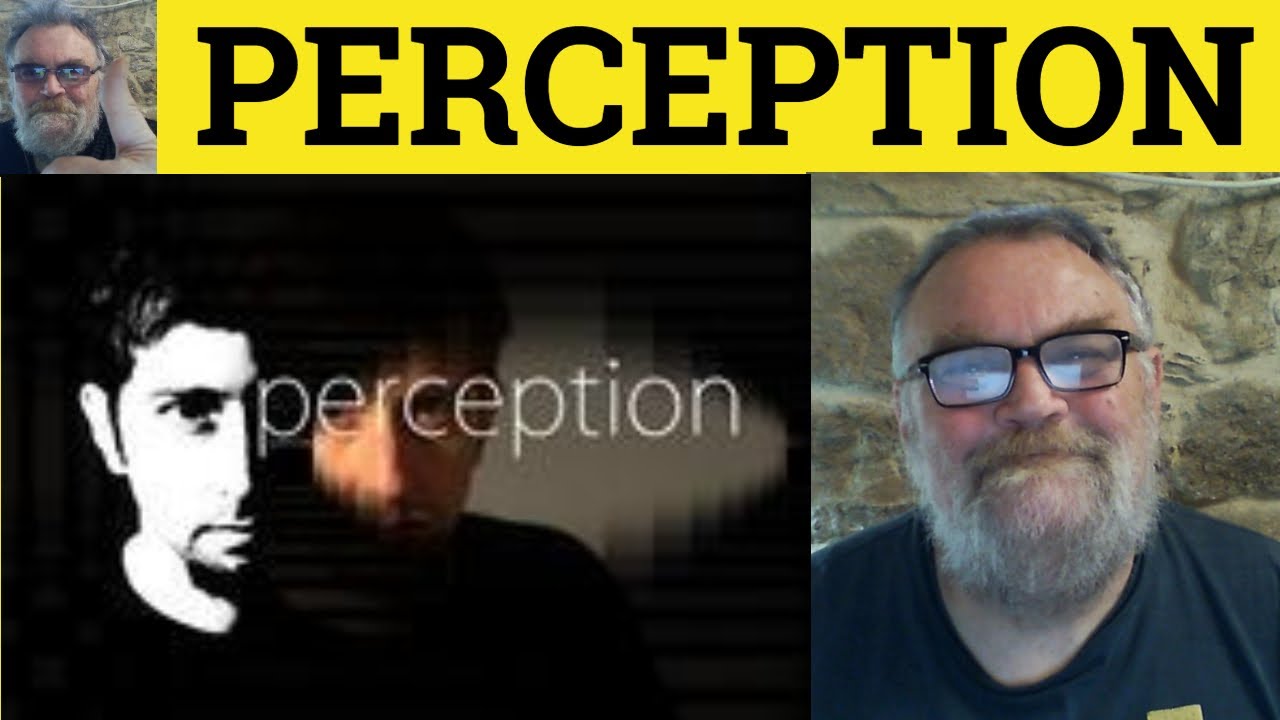 🔵 Perception Meaning - Perception Examples - Perceive Defined ...