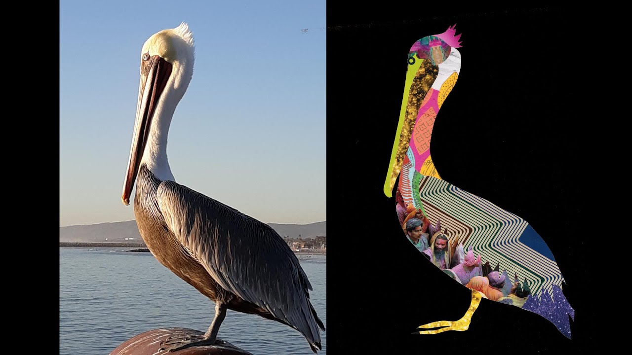 Pacific Pose Collage | Analog collage | Cut and paste | Pelican - YouTube