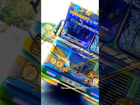 Dagakari bus. - YouTube