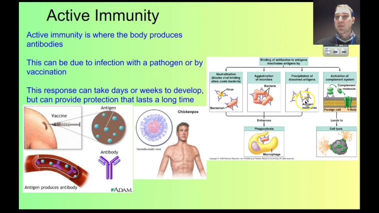 Flippin' Science- Acquired Immunity - YouTube