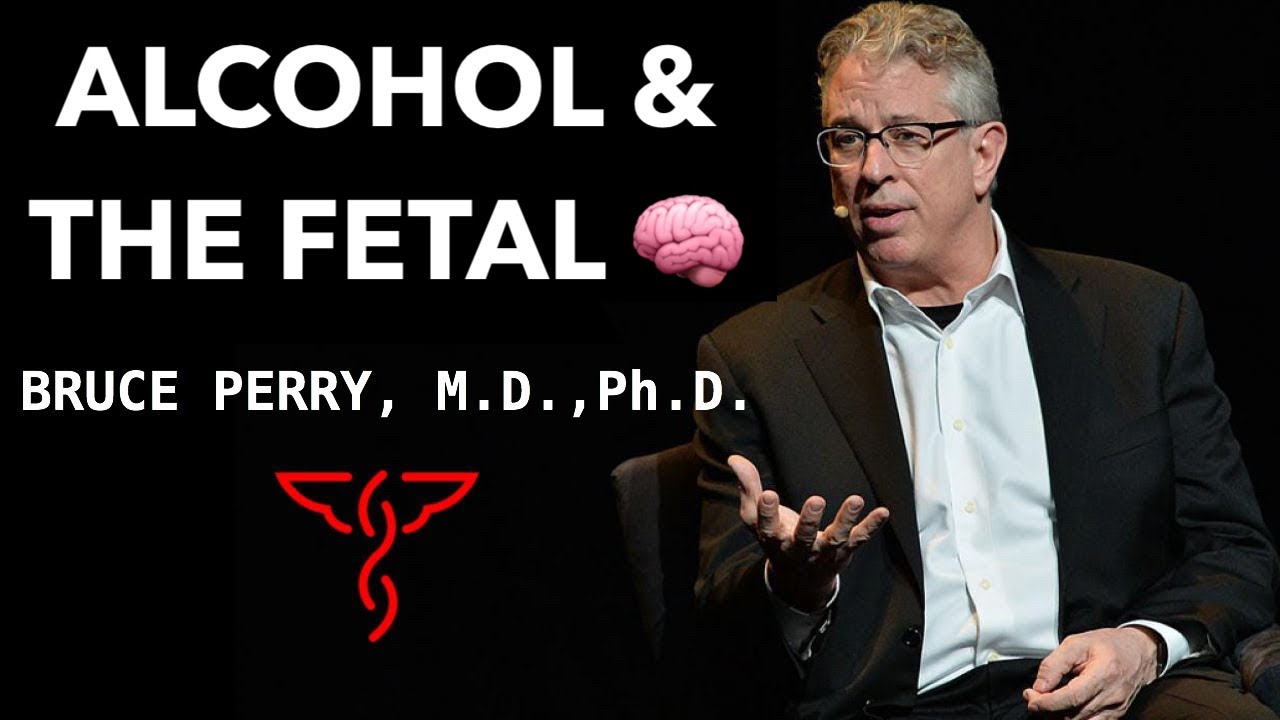 How Alcohol affects the Fetal Brain - Dr. Bruce Perry - YouTube