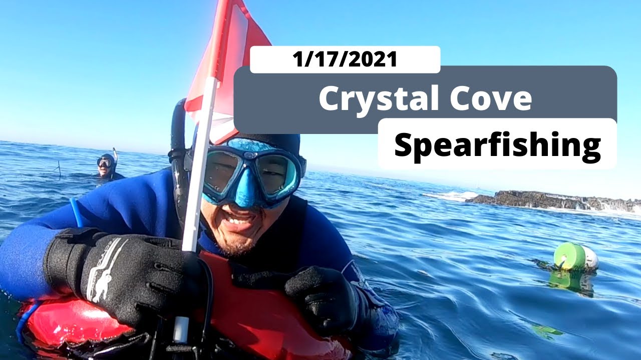 Spearfishing Crystal Cove, CA - 1/17/2021 - YouTube