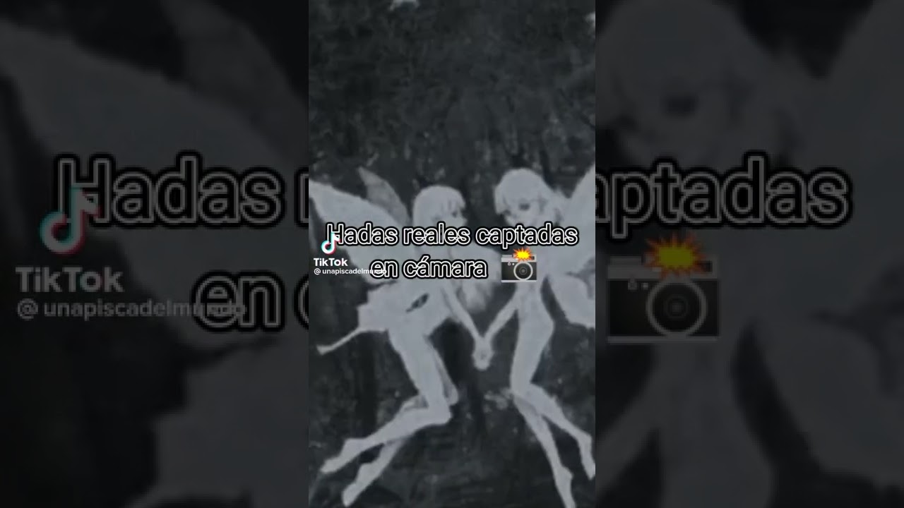 Hadas reales captadas en cámara 📸 - YouTube
