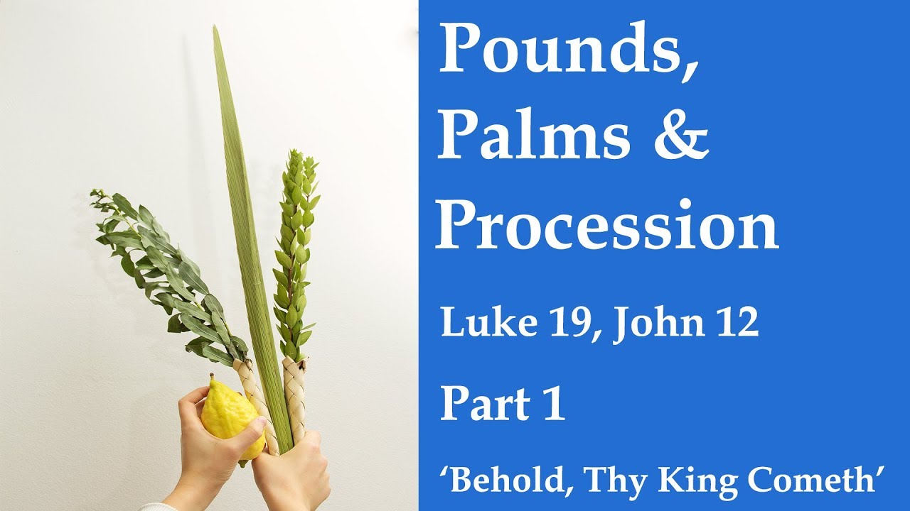 Come Follow Me LDS- Luke 19, John 12 Part 1 - YouTube