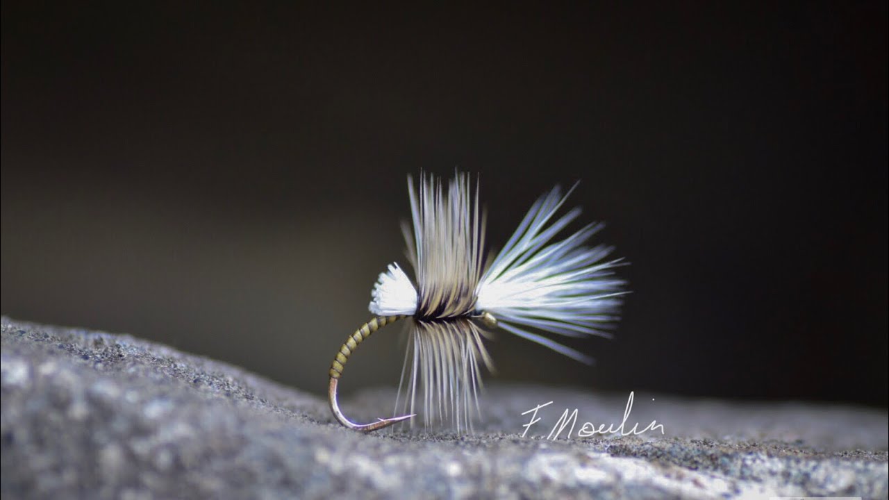 Fly tying a Dry fly, hackle work and peacock quills with Fabien Moulin ...