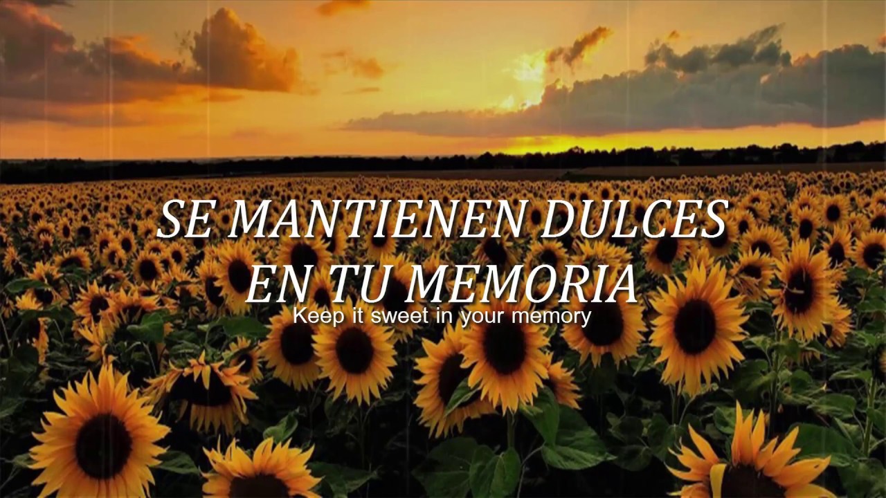 Harry Styles Sunflower Vol 6 Sub Espa ol Lyrics YouTube harry-styles-sunflower-vol-6-sub-espa-ol-lyrics-youtube