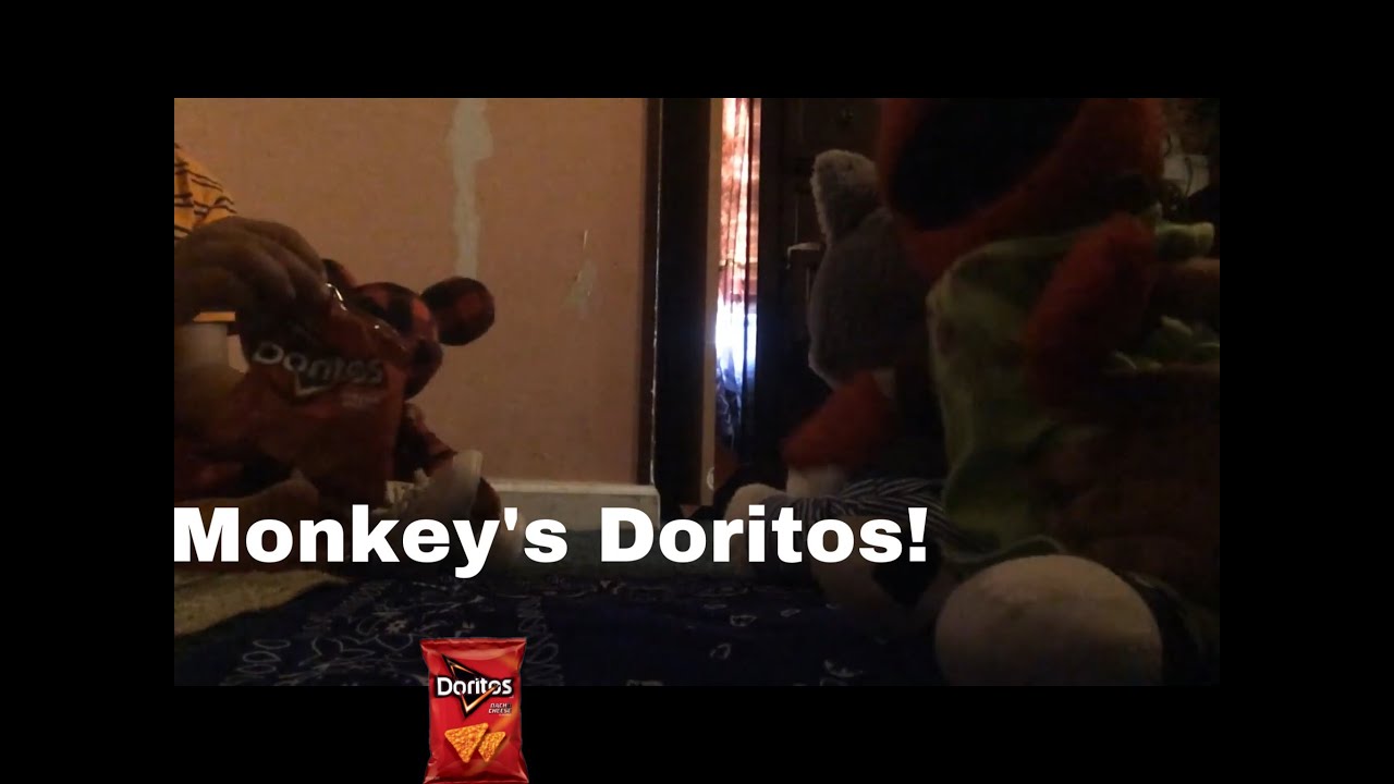 Monkey: monkeys Doritos! - YouTube