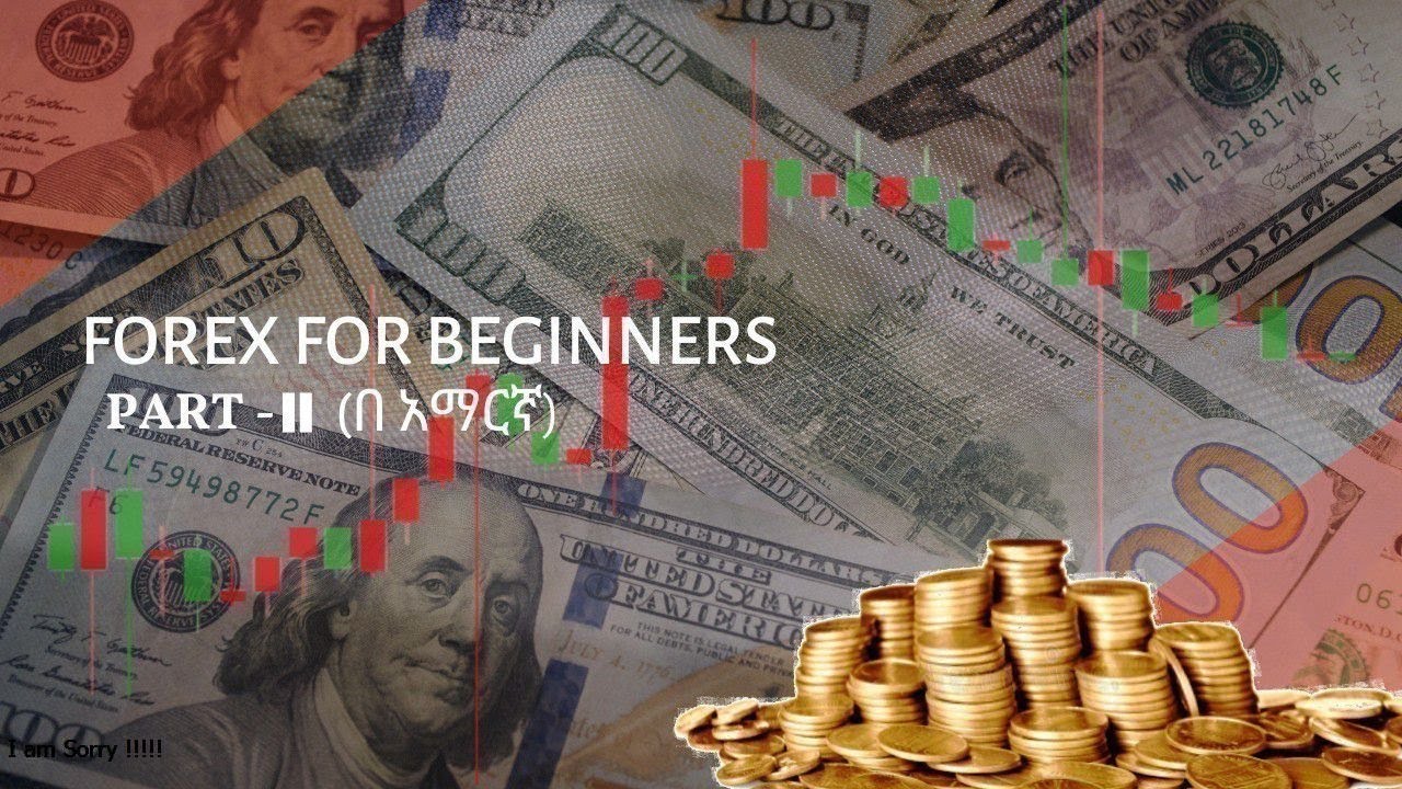 forex trading for beginners in ethiopia part 2(currency pair,pip ...
