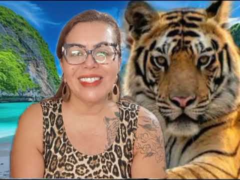 TRANSIÇÃO, O QUE VOCÊ PRECISA SABER SOBRE O PERÍODO DE CONFIDENCIALIDADE DA ALIANÇA #motivacional 