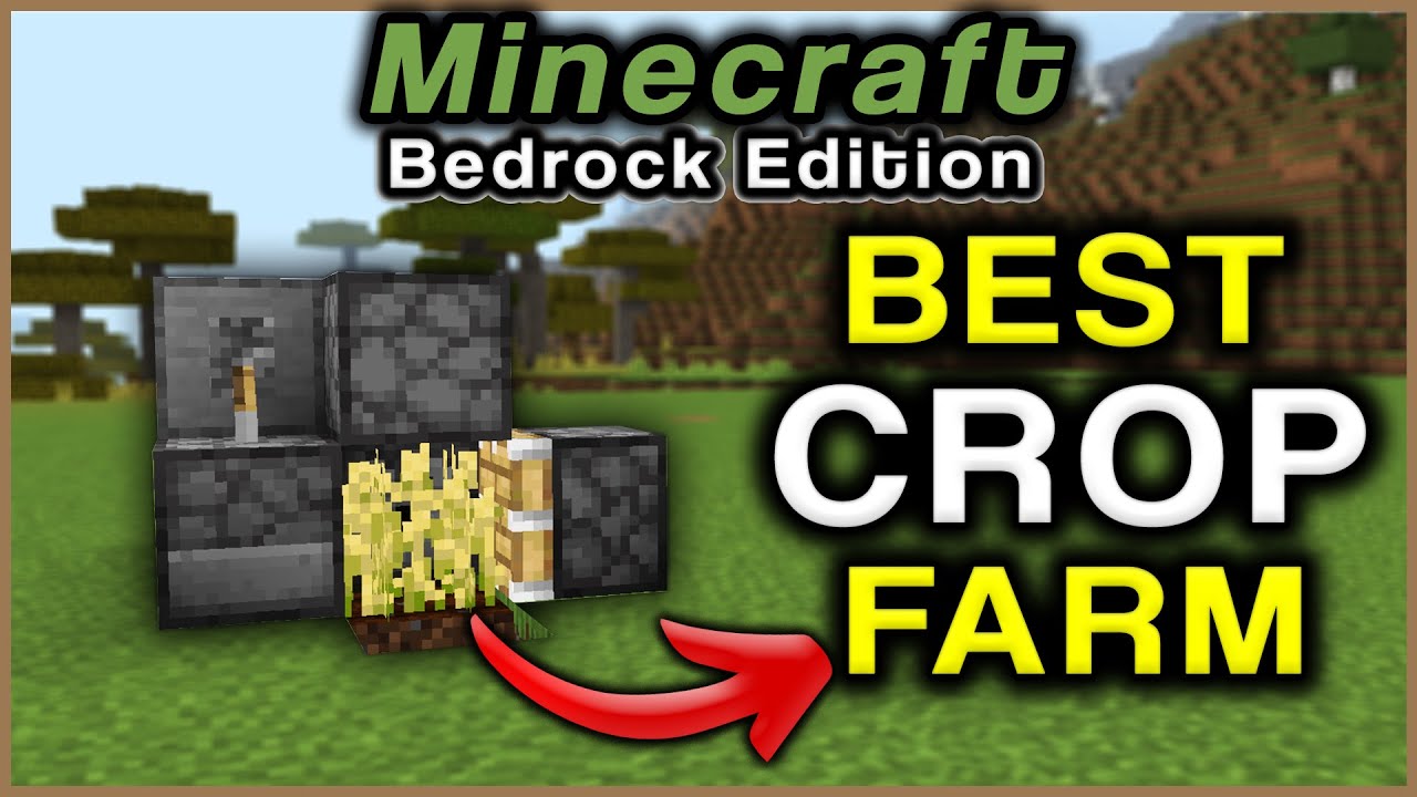 EASY & BEST Crop Farm for Minecraft Bedrock 1.20 - YouTube