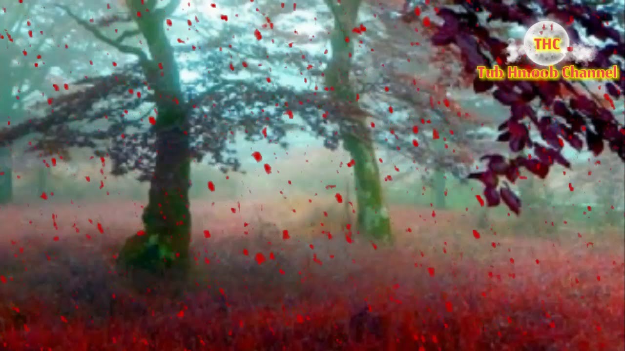 Hmong New Song - Dej Puag Ntwg Nce Toj - Jay Vang - YouTube