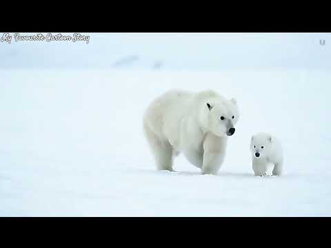 The Little Bear and His Mother