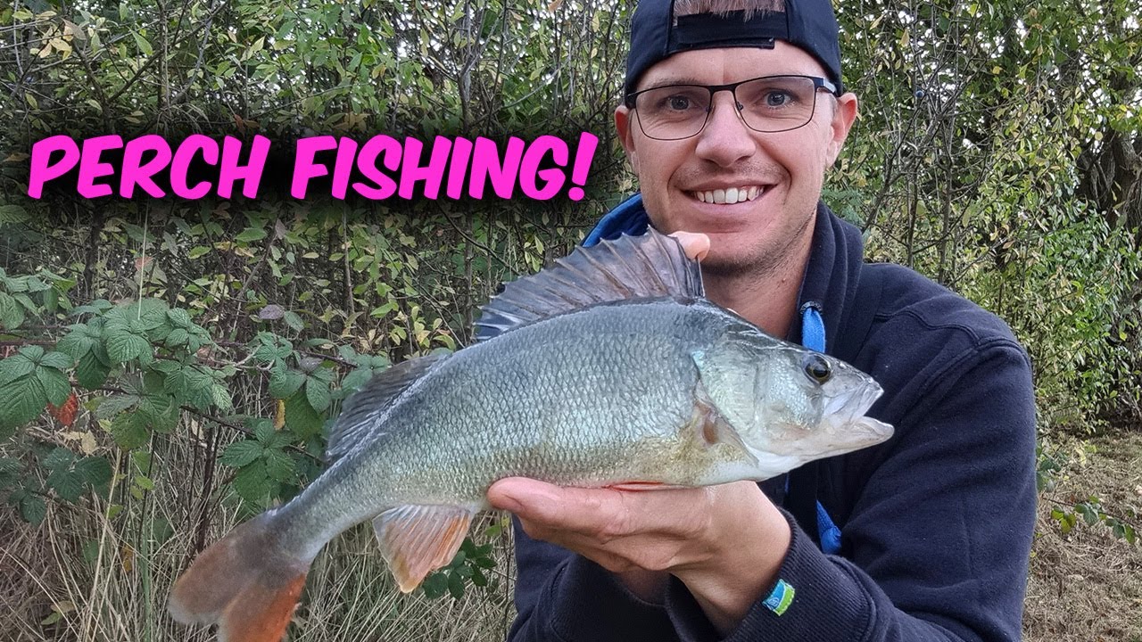 Perch Fishing | IT'S NOT GOING TO PLAN! | The Perch Search - YouTube