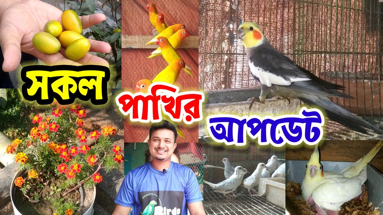 পাখির খামার রংপুর সকল পাখির আপডেট || pakhir khamar bangladesh || Birds ...