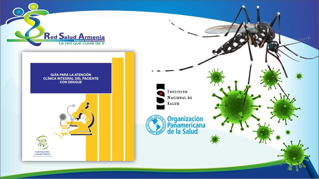 Guia para La Atencion Integral del Paciente con Dengue - YouTube