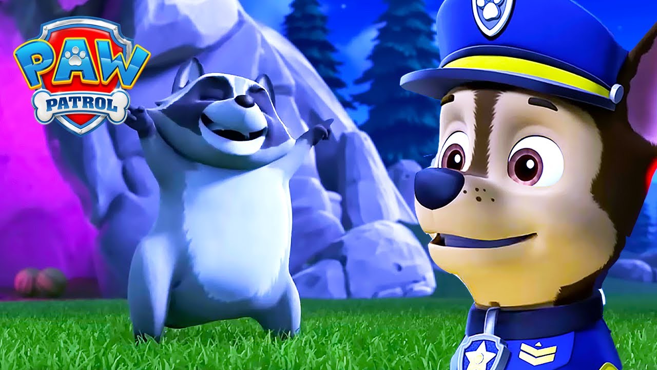 Raccoons stjålne telefonfest! Chase sporer ham 🚓🦝 | PAW Patrol | På ...