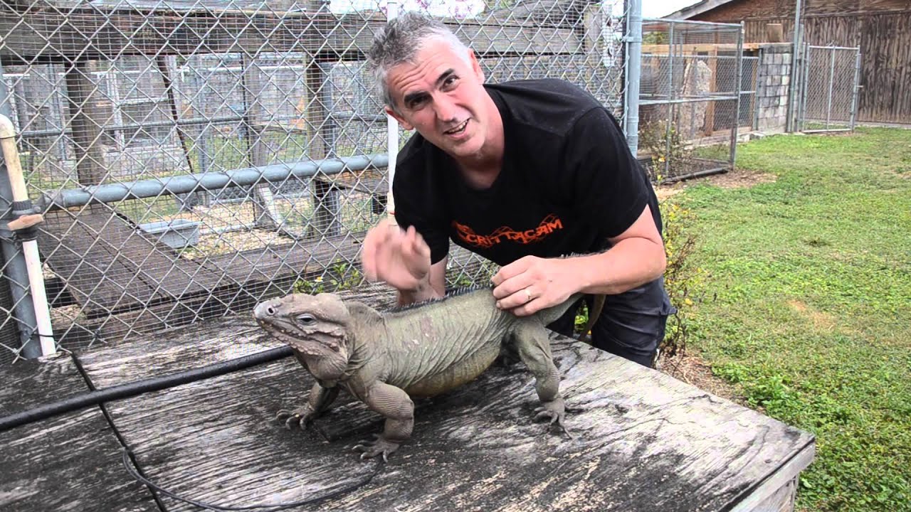 Tom Crutchfield's Farm - CrittaCam - YouTube