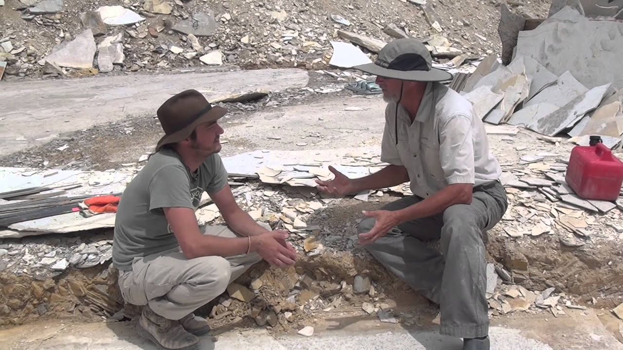 Chasing History: Fossil Fish, The Green River Fossil Formation ...