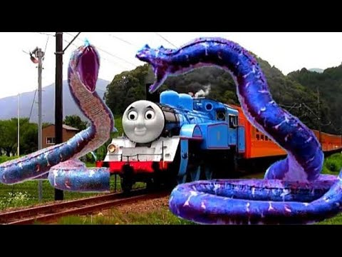 Thomas Train vs Giant Snake | Stops The Train | Thomas and Friend ...