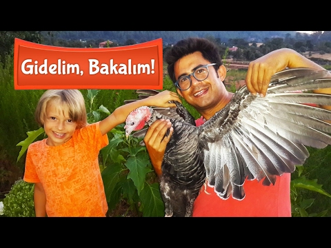 Haydi gidelim, bakalım - eğitici film