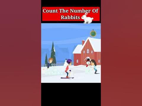 Count the number of rabbits 🥕🐇🧐 #shorts - YouTube