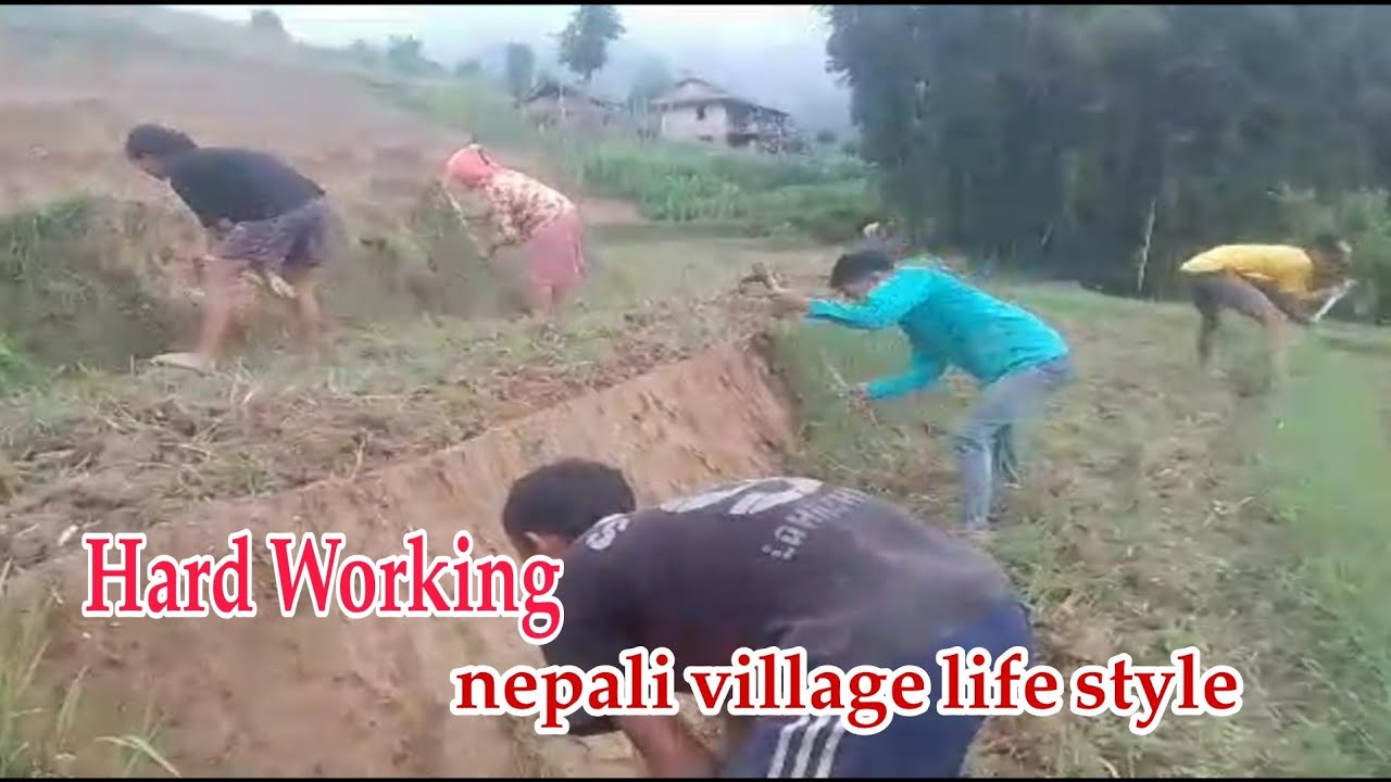 Nepali village hard working life || Rural life nepal || earth cilen ...