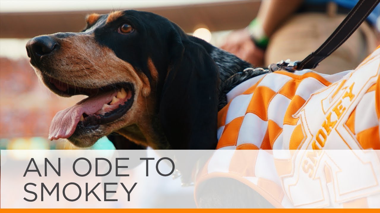 UT Celebrates 67 Years of Smokey - YouTube