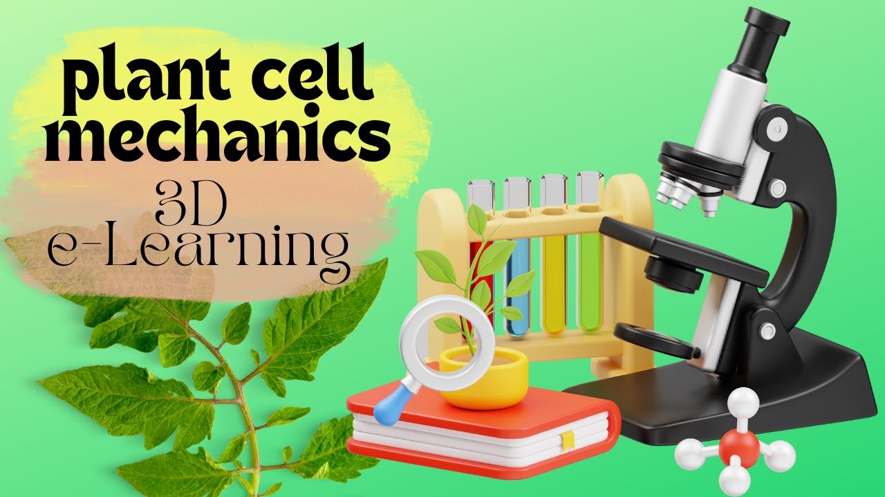 3D E-Learning Animation: Understanding Plant Cell Mechanics with Cputek ...