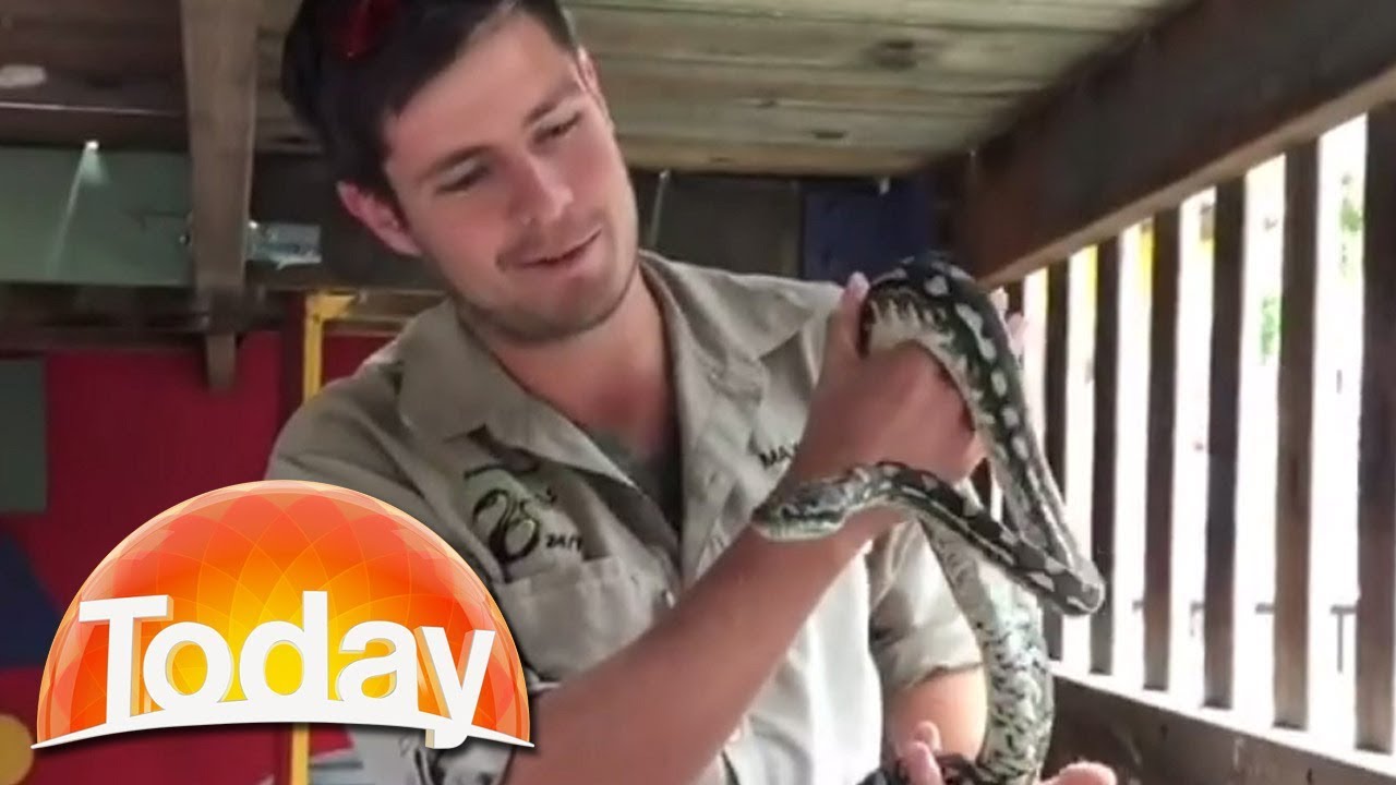 Snake catcher reveals weirdest place he's found snakes - YouTube