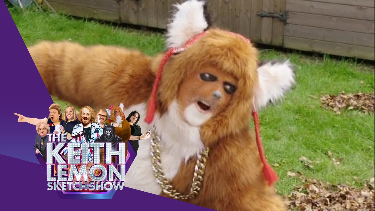 The Urban Fox Gets Caught In Illegal Traps | The Keith Lemon Sketch ...