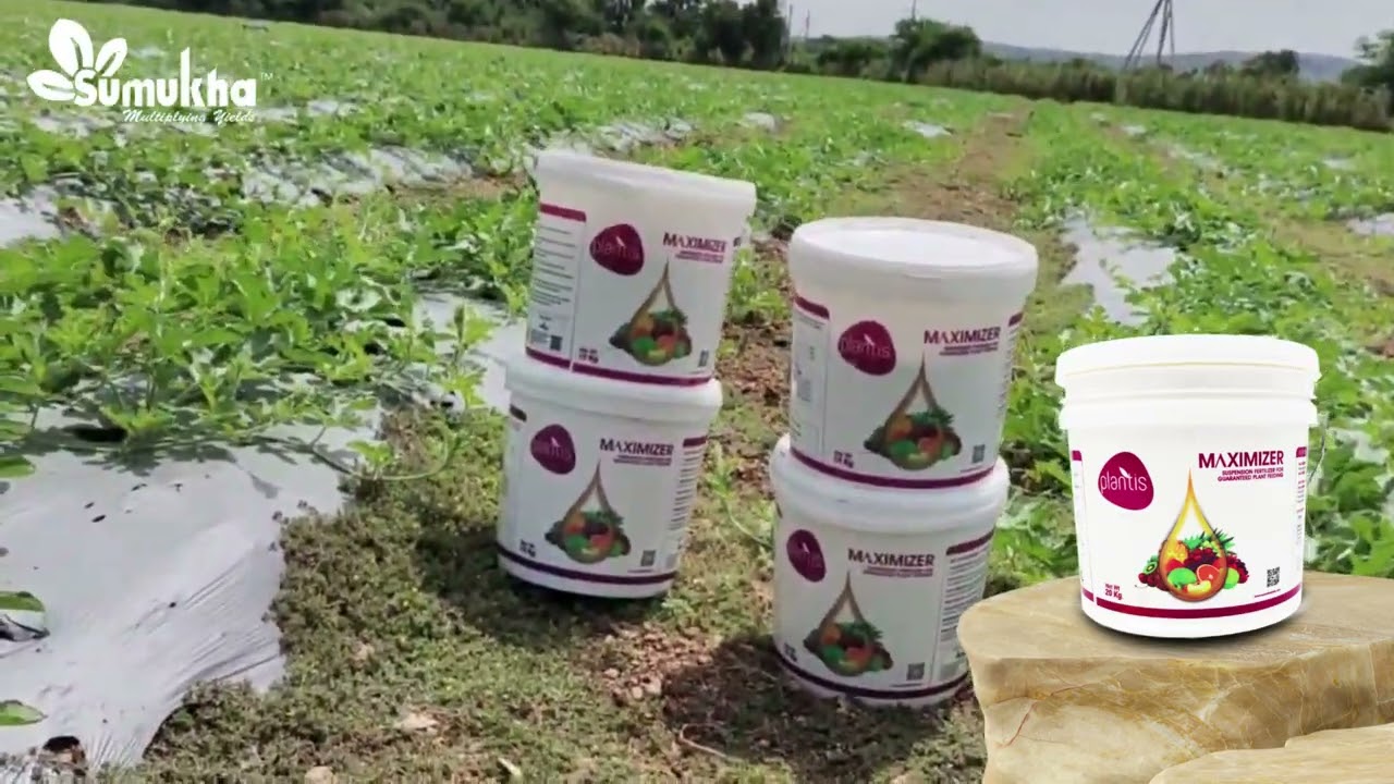 Formula for plant growth | PLANTIS MAXIMIZER fertilizer | SUMUKHA # ...
