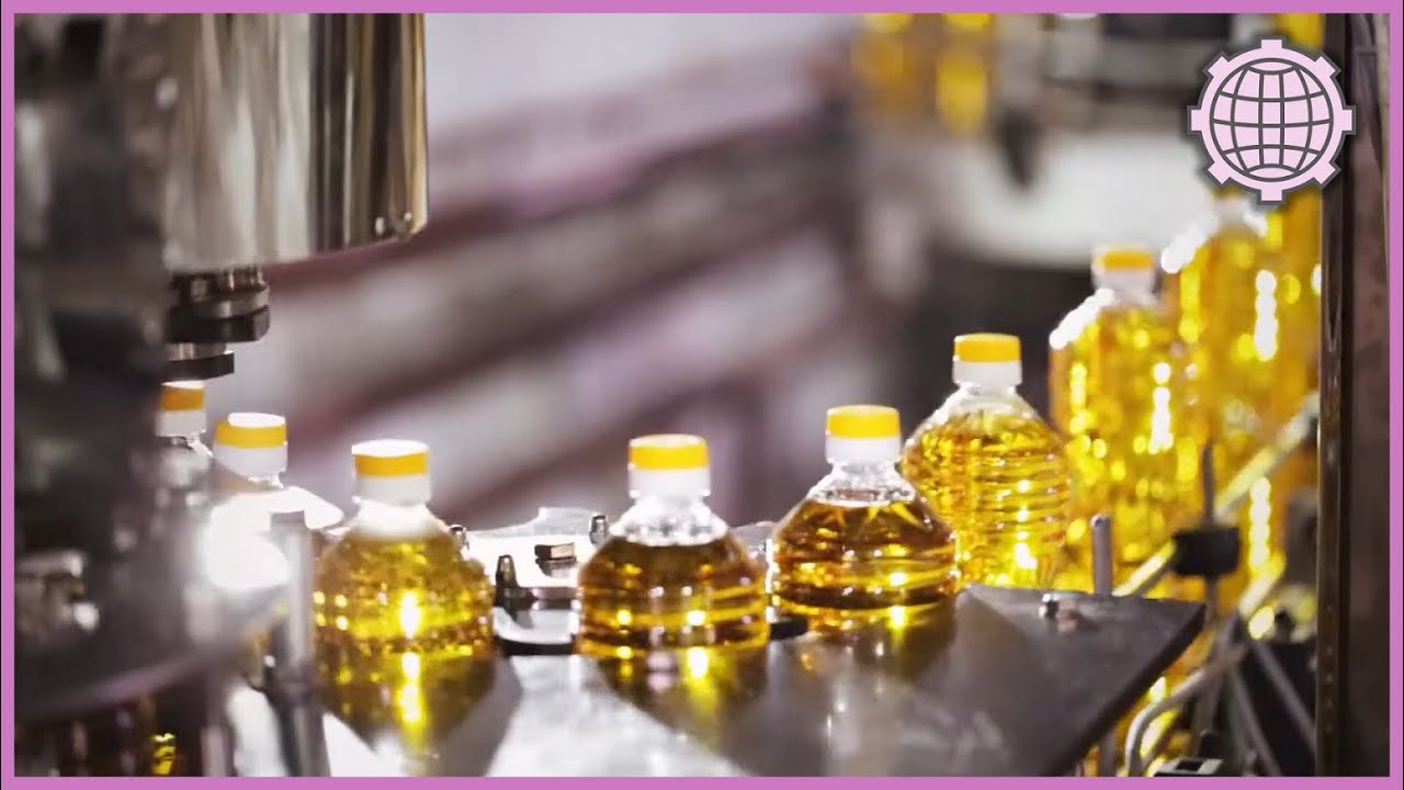 How is sunflower oil produced. The process of making sunflower oil ...
