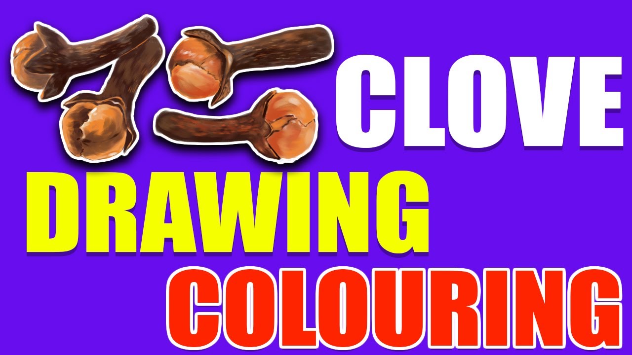 CLOVE DRAWING AND COLOURING ||Clove drawing tutorial || Clove drawing ...