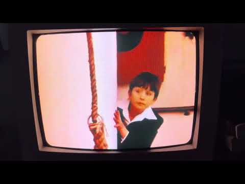 The Black Stallion (1979) Scene 🐎