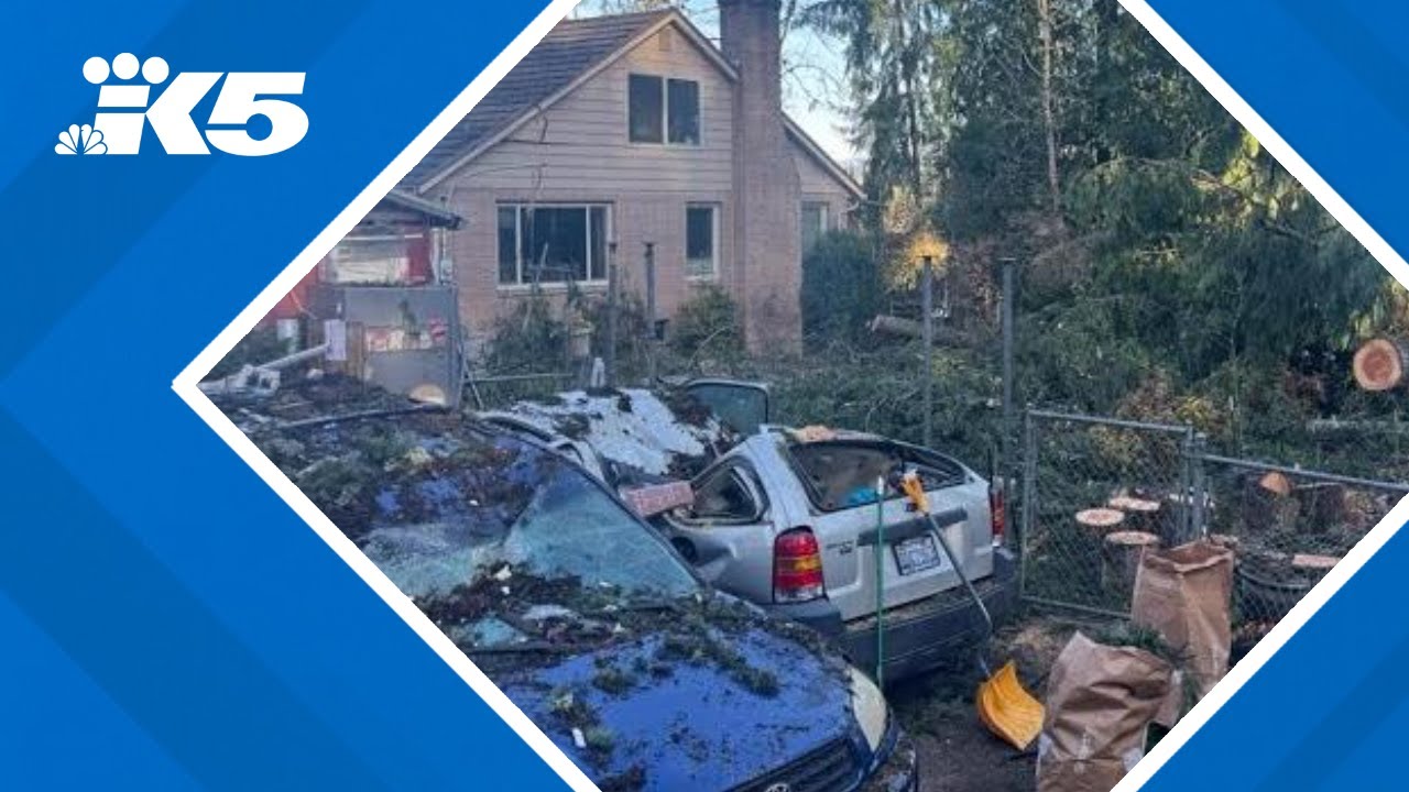 Bellevue family continues clean up after bomb cyclone damages property ...
