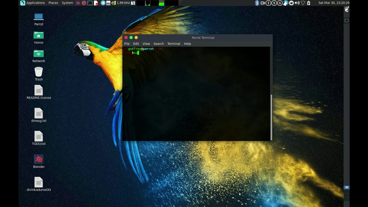 How to fix NetworkManager not running On Parrot & Other Debian Systems ...