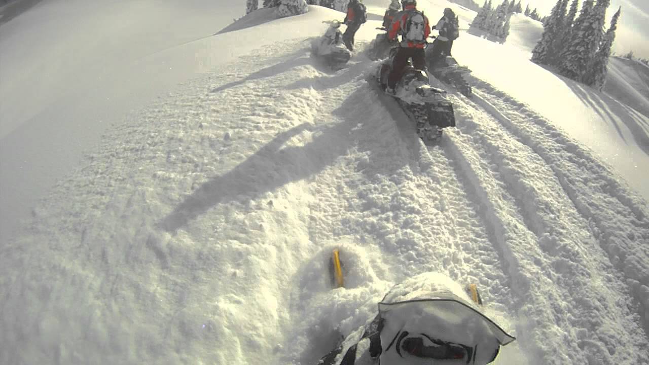 team frenchie by mario vachon - YouTube