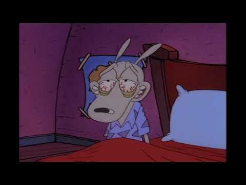 A Vida Moderna de Rocko - Passarinho chato