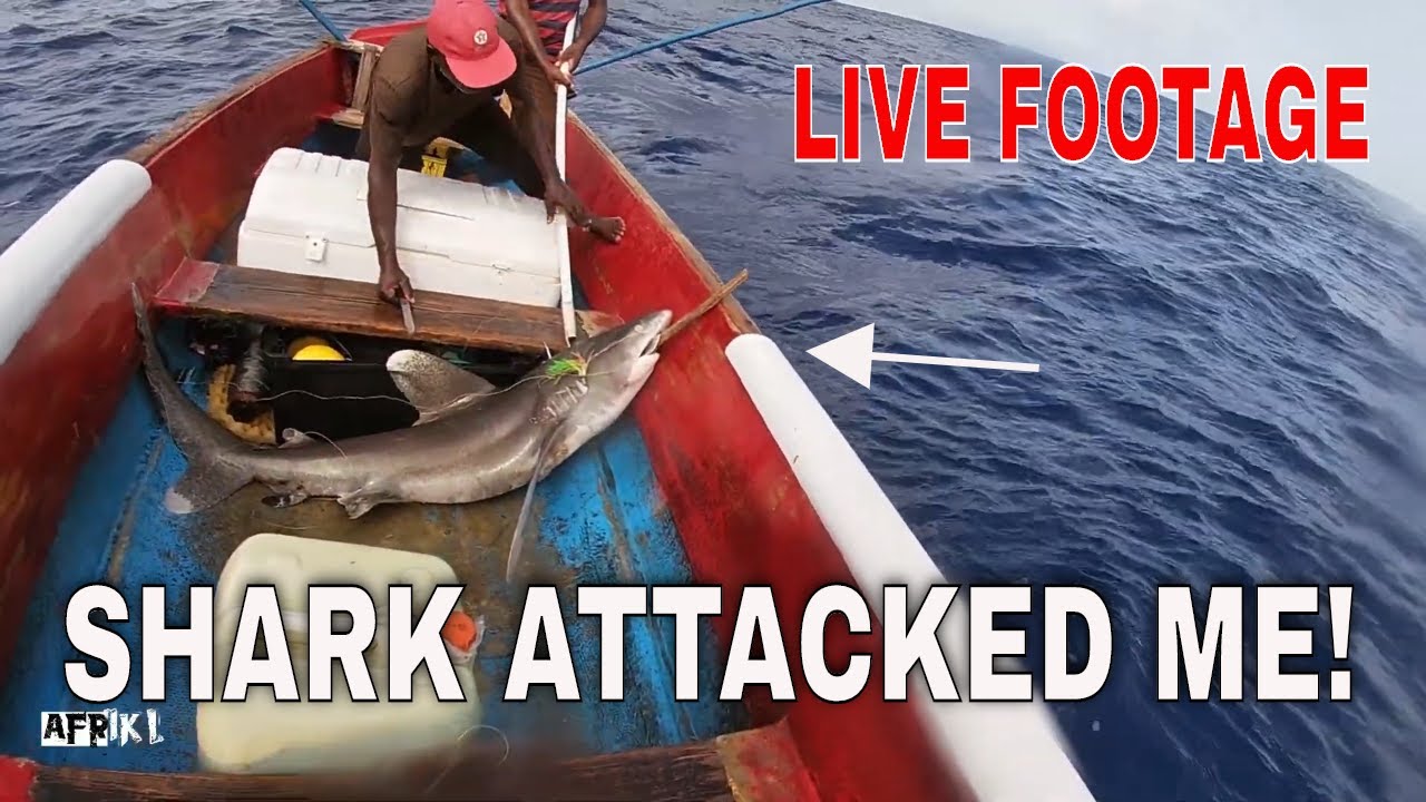 Almost Got Bitten By A HUGE SHARK And Fell Out The Boat | Caught Mahi ...