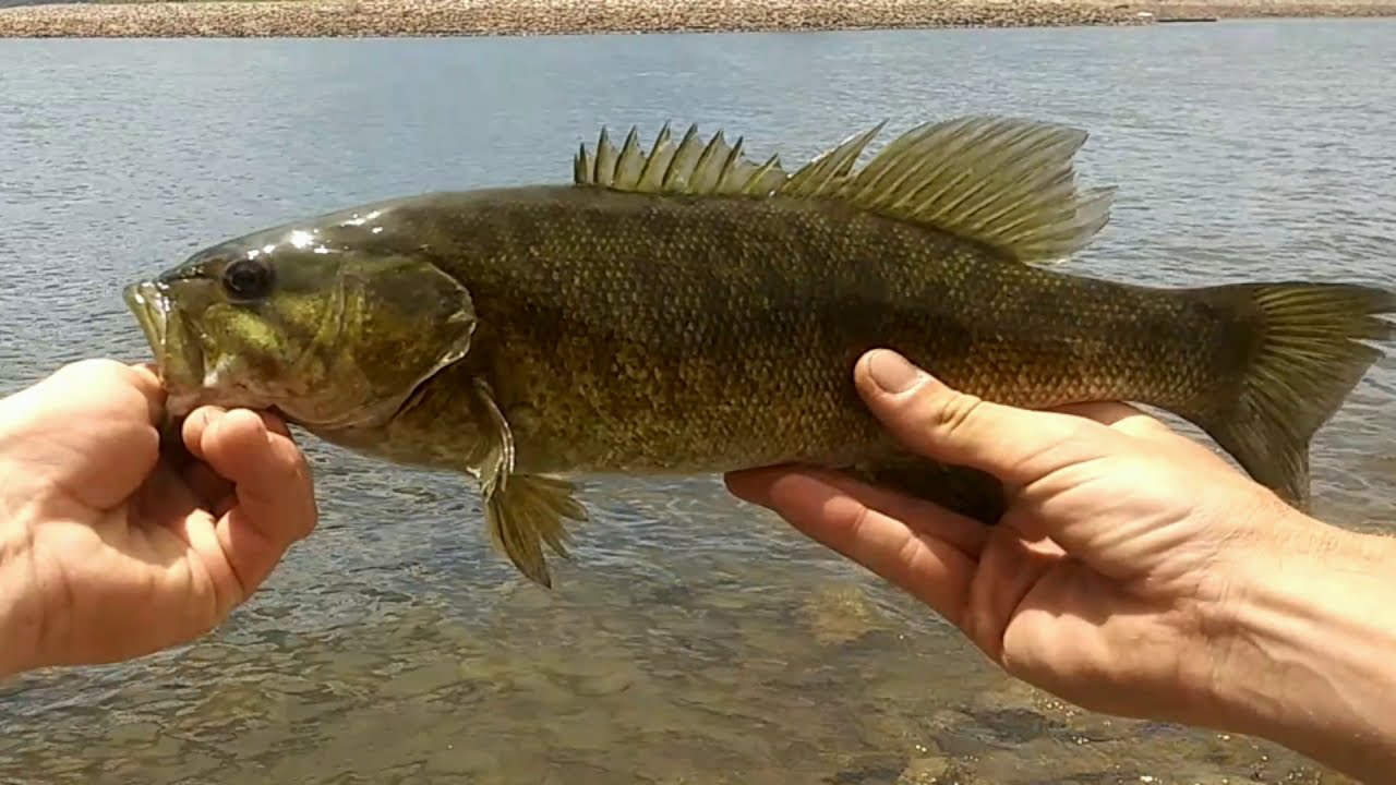 Small mouth fishing + New rod and reel setup. - YouTube