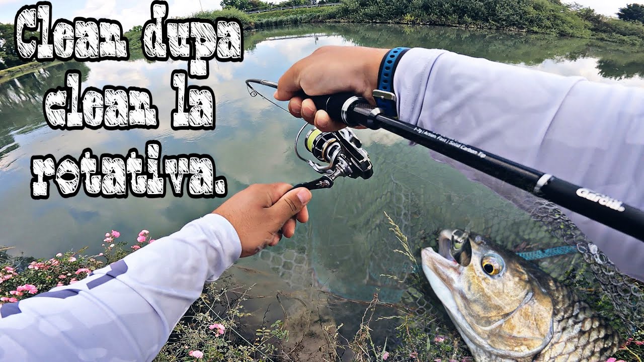 🎣 Am prins clean dupa clean la rotativa pe apa tulbure , pescuit la ...