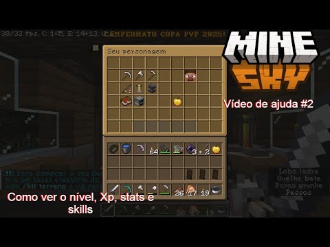 Minesky - Como ver o nível, Xp, stats e skills - Vídeo de ajuda #2 ...