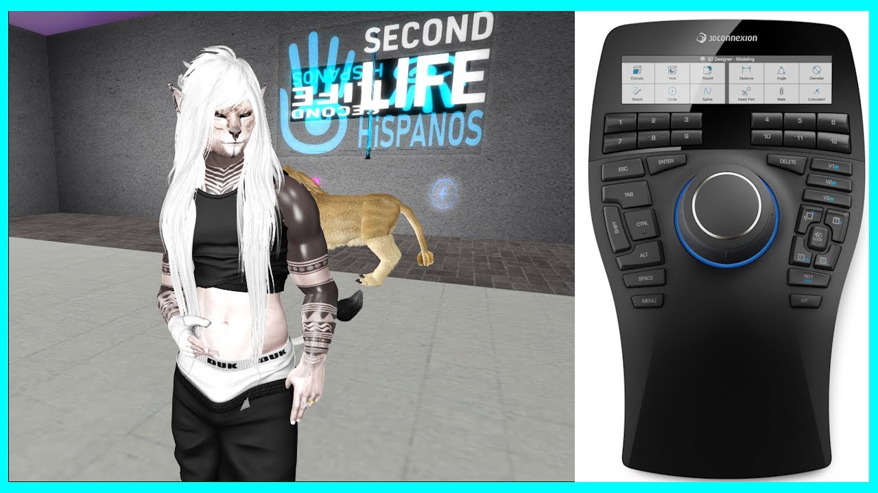 Probando Mouse Espacial en Firestorm Viewer 😁 ️💕👍 - YouTube