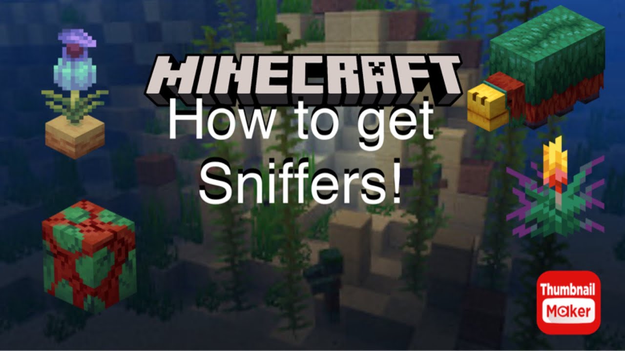 How to get sniffers in Minecraft! - YouTube