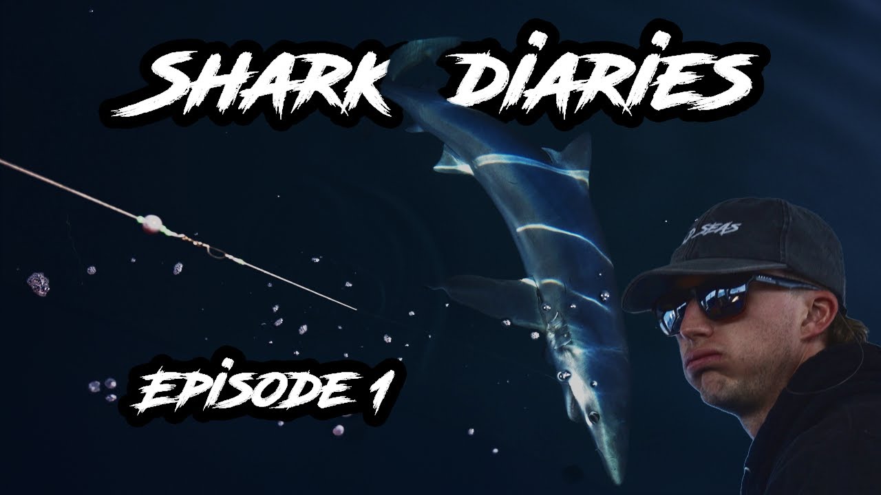 Shark Diaries: Ep. 1 - Catch and Release Shark Fishing In Cornwall, UK ...