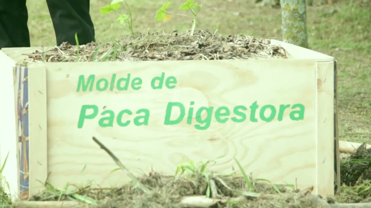 Pacas Digestoras En Picacho - YouTube